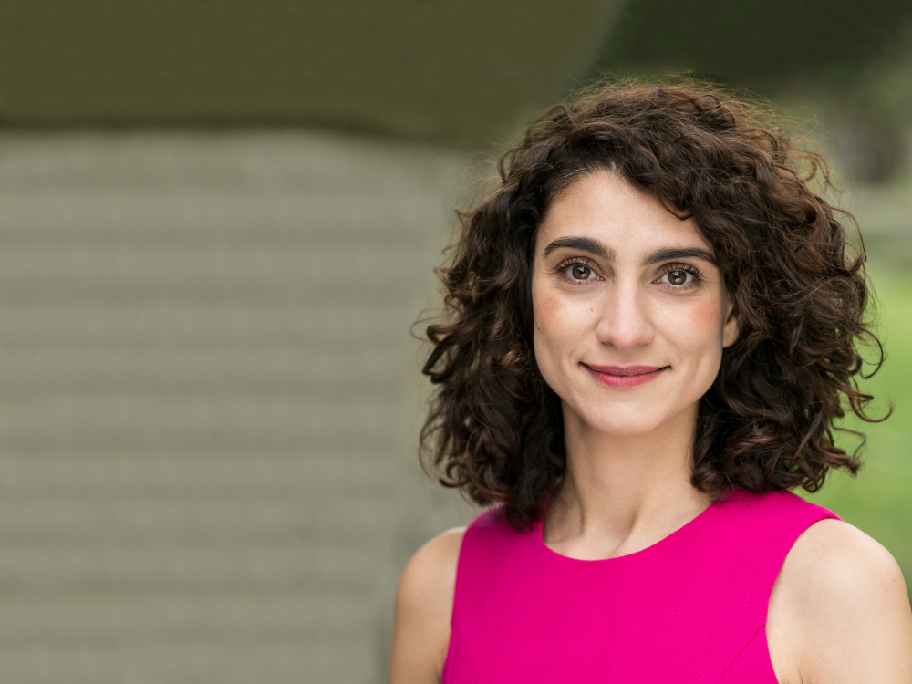 Blended Finance at an Inflexion Point - HedgeNordic